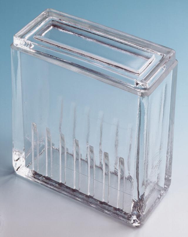 Glaswarenfabrik Glass Staining Trough Hellendahl for 16 Slides ...